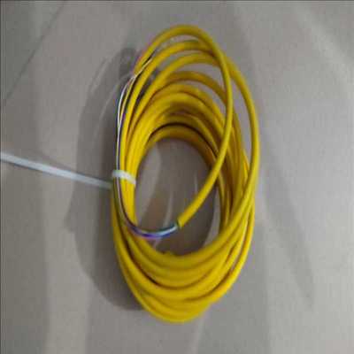 皮尔兹PILZ 541161 V2.2、专业线，具体的型号如（耶耶电子）