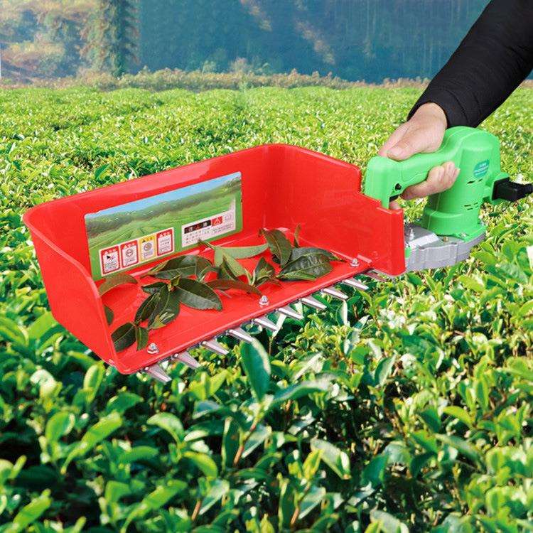 电动采茶机单人手持电动采茶机手提式24v摘茶机单人收茶机