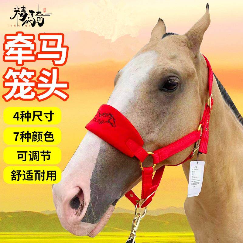 马笼头绳子牵马调教笼头全套线板大小矮马龙头嚼子马术用品亏