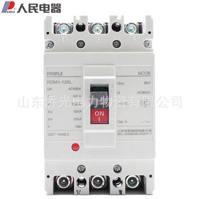 中国人民电器RDM1-125L/3300 63A100A125A塑壳断路器RDM1-100