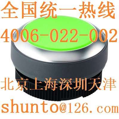 德国RAFI带灯按钮开关型号1.30.090.011/1400黄色RAFIX 16 F
