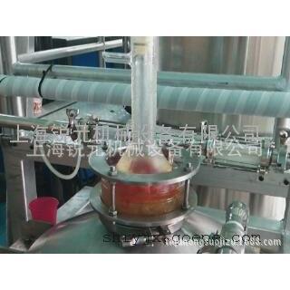 供应RY-JYTQ红玫瑰精油提取设备-挥发油提取设备