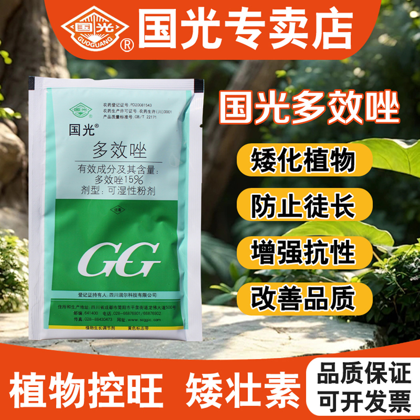 国光多效唑控旺药果树菊花矮化剂植物生长调节剂花生玉米专用矮壮