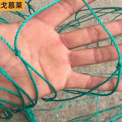 爬虎藤隔断网拖 网  网口大鱼鲢鳙草鱼胶丝线 隔断TXU网拖网
