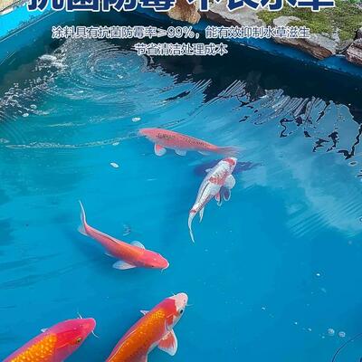 鱼卫池防涂材料长期泡水鱼缸水池生间厨水房补漏XAX料防水胶