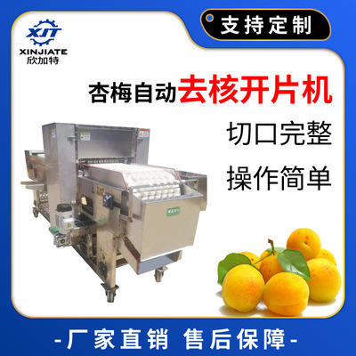 工厂直销 去核机 全自动杏梅取核分瓣机李子去芯切瓣一体机