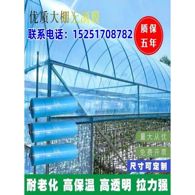 进口抗老化无滴膜整卷大棚塑料膜保温透光农用薄膜瓜果葡萄专用膜