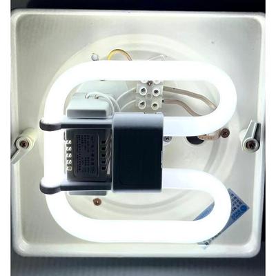 蝴蝶型荧光灯灯管2D-21W38W55W三基色吸顶灯厨房卫生间浴霸灯管