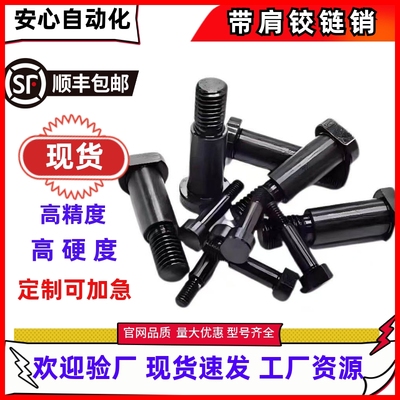 带肩铰链销轴螺丝CLBDGMIE01