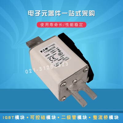 快速熔断器保险丝170M4208 4209 4210 4211 4212 4213 4214 4215