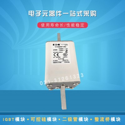 170M4141 4142 4143 4144 4145 4146 4147 4158熔断器保险丝现货