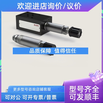 议价BIERI 比利 泄压阀DB500/700/1000AKP103-01-500-V-A00