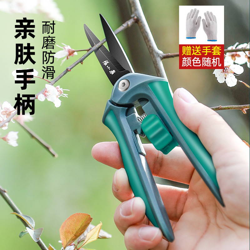 园艺剪枝剪刀修枝剪果树园林花艺剪子工具修剪树枝剪刀花剪