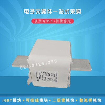 巴斯曼快速熔断器保险丝170M6870 6878 6879 6880 6881 6882 6882
