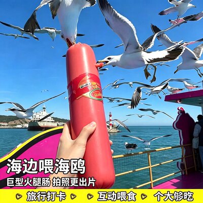 网红喂海鸥的超大火腿肠长特大