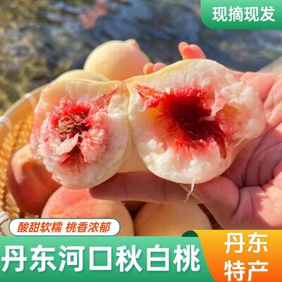 丹东河口秋白桃新鲜毛桃应季水果银白桃酸甜自家果园现摘现发