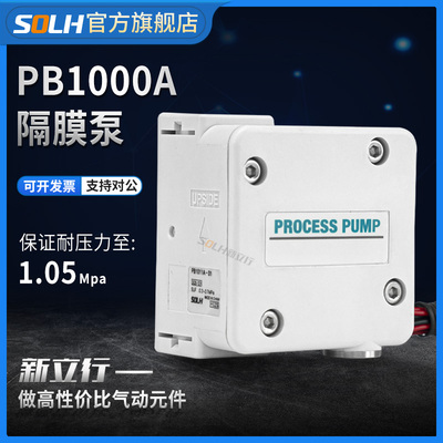 气动隔膜泵PB1011A-01  PB1013A-01气动隔膜泵气控型