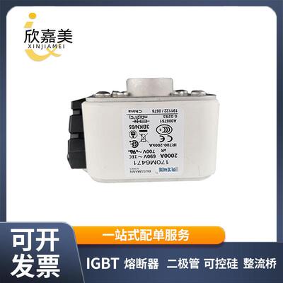 170M6471 170M6498 快速熔断器 保险丝 电子元器件 量大价优