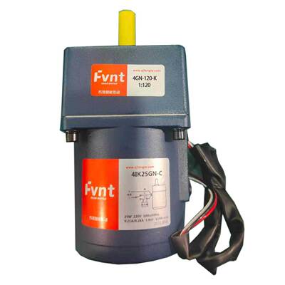 FVNT方特25W交流定速电机马达4IK25GN-C/4GN120K 4GN180K 单相220