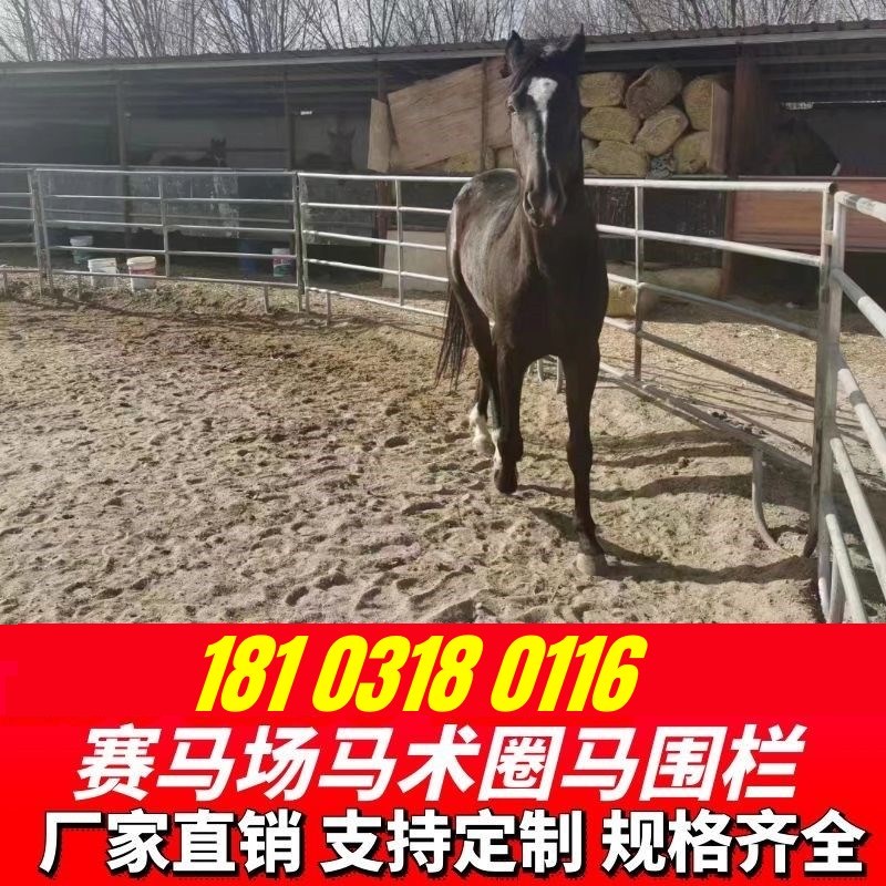 移动式马场牛场护栏草原牧场羊圈隔离栅栏马术赛道可移动式围栏