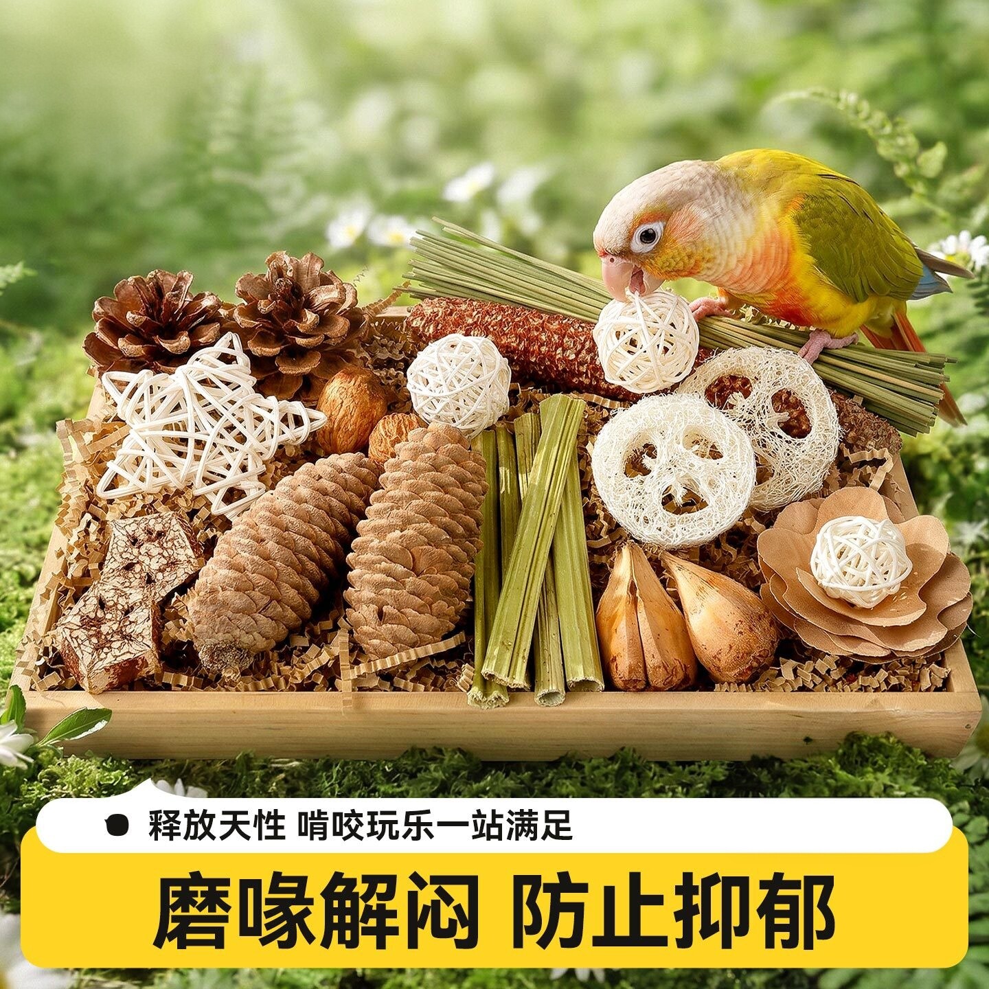 鹦鹉解闷自嗨玩具发泄磨牙耐咬啃咬小太阳牡丹虎皮通用鸟儿玩乐盒