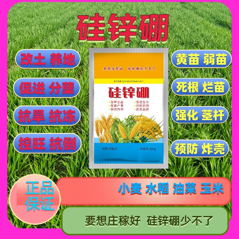 硅锌硼颗粒肥小麦水稻油菜改土养地促进分蘖抗旱抗冻控旺抗倒增强