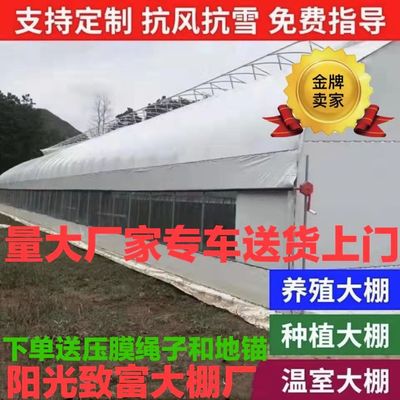 大棚卷膜器养殖大棚全套养鸡棚鸡舍猪棚牛棚羊棚鸭棚鹅棚养殖棚专