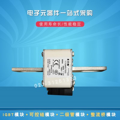 快速熔断器保险丝170M5767 5768 5775 5776 5804 5805 5806 5807