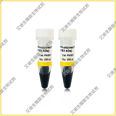 GS Prestained Protein Ladder(10~180 kDa) 彩色预染蛋白Marker