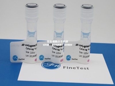 FineTest 一抗  流式抗体 FITC-大鼠IgG2b，κ 同型对照（LTF-2）