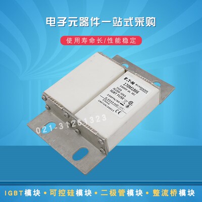 快速熔断器保险丝170M1842 1843 1844 1845 1846 1847 1848 1849
