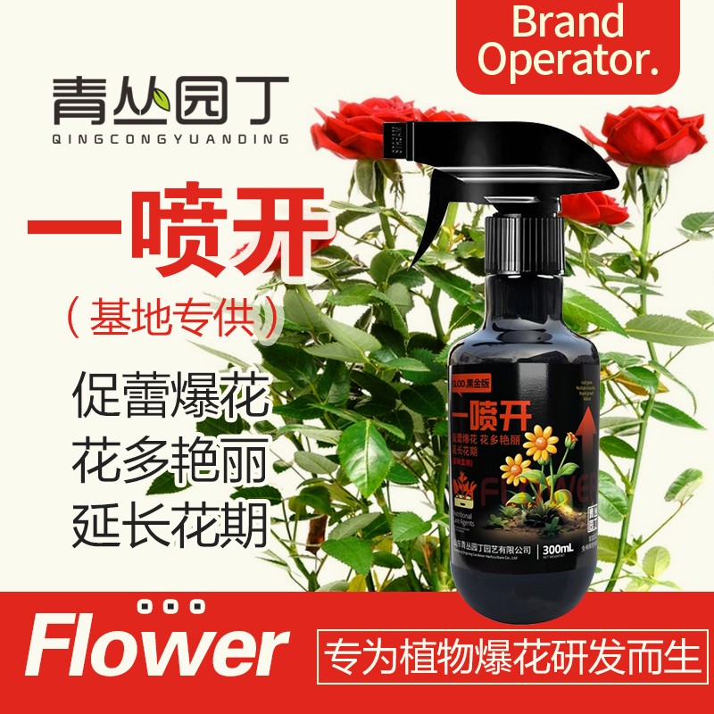 青丛园丁黑金版开催花促蕾爆花花多艳丽延长花期花卉通用