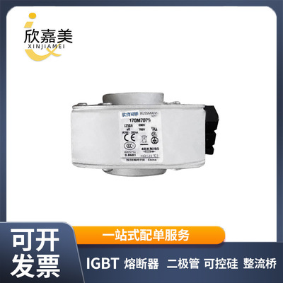 170M7079  170M7083  快速熔断器  保险丝 电子元器件 量大价优