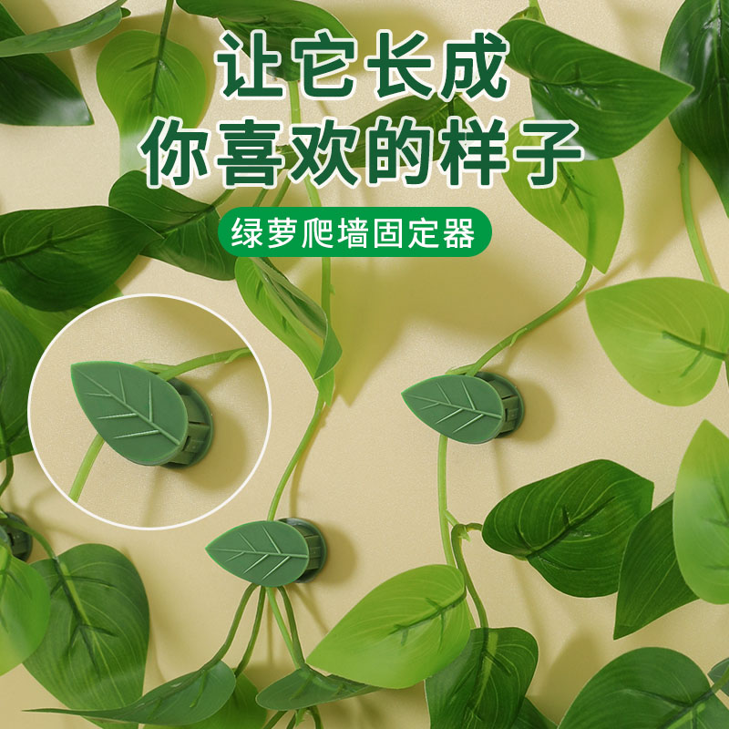 绿箩爬墙上固定神器绿萝植物卡扣夹藤蔓爬墙夹子双面粘贴片固定器