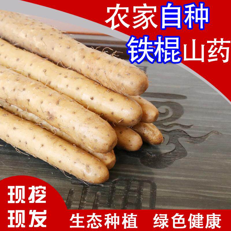 河北特产正宗垆土铁棍山药新鲜现挖麻山药软糯5斤40-60厘米