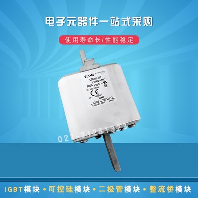 熔断器保险丝170M6202 6203 6204 6205 6206 6207 6208 6209 6210
