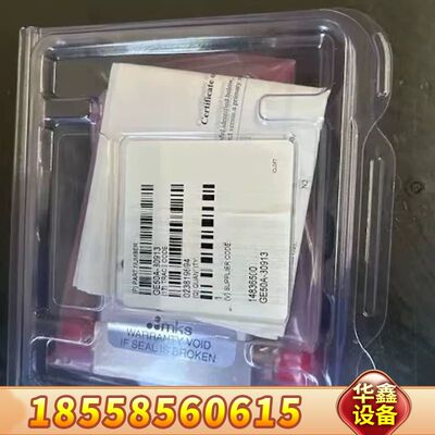 MKS GE50A-30913 PROFIBUS 流量控