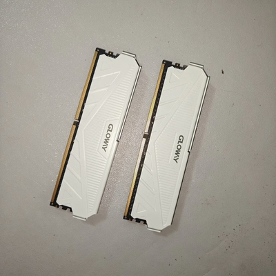 光威（Gloway）32GB(16GBx2)装 DDR4【议】