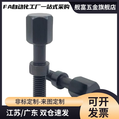 AJSTCM/AJSTCMF 粗牙细牙调整螺栓 六角头尺寸简易型 PAY22/PAY32