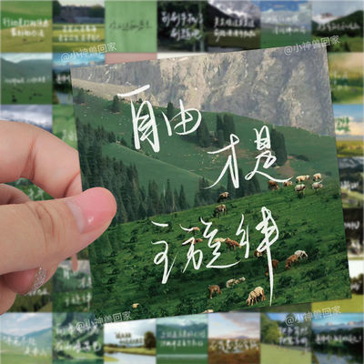 63张绿色系自然风景贴纸ins风文艺大学简约治愈文案励志文字贴纸