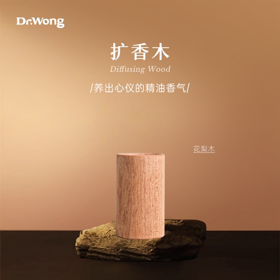 Dr.Wong扩香木家用小巧香薰摆件