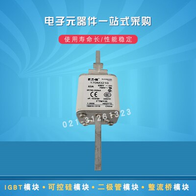 巴斯曼快速熔断器170M3208 3209 3210 3211 3212 3213 3214 3215