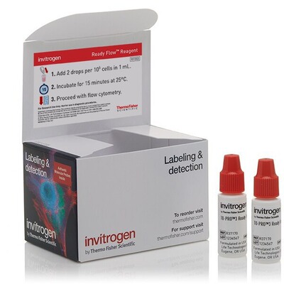 R37170 赛默飞 TO-PRO 3 试剂 明亮且易于使用的核酸染色剂