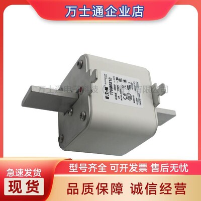 170M6067170M6068170M6069170M6070170M6071全新熔断器现货