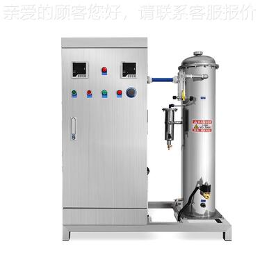 00g臭氧2发生器车体机分高浓度大型间养殖污60985水处理臭氧消毒