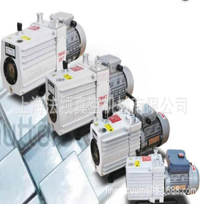 莱宝真空泵D4T双级旋片真空泵31231T