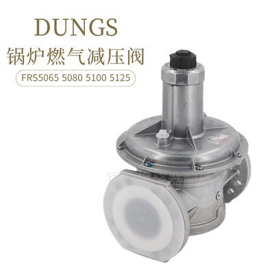 冬斯DUNGS燃气调压器FRS5