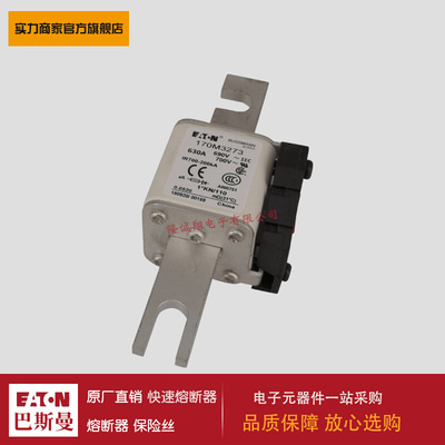 熔断器170M2819 170M2821 170M3228 170M3229 170M3286 170M3289