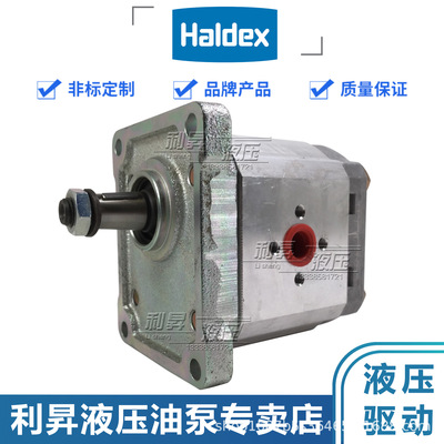 德国翰德HALDEX齿轮泵 WP15A1B380R55PB151N 1830653 农机车辆泵