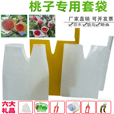 丰康源桃子水蜜桃黄桃冬桃纸套袋